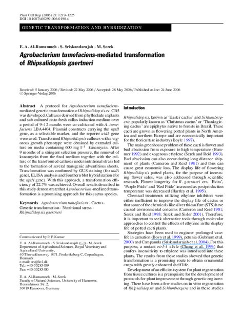 Pdf Agrobacterium Tumefaciens Mediated Transformation And In Vitro Plant Regeneration Of M