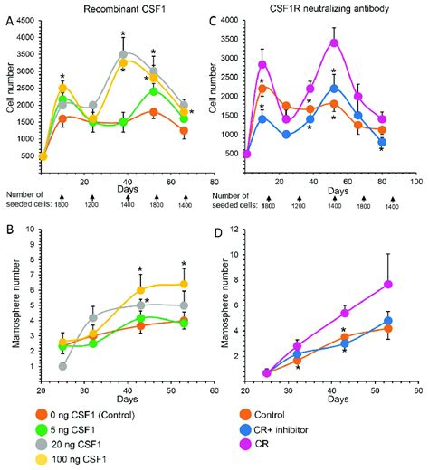 Manipulating The Csf1 Csf1r Interaction Affects Mammary Epithelial Stem Download Scientific
