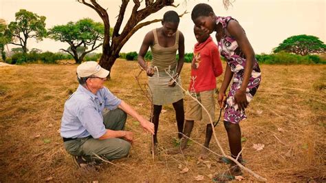 The Forest Maker 2022 Mubi