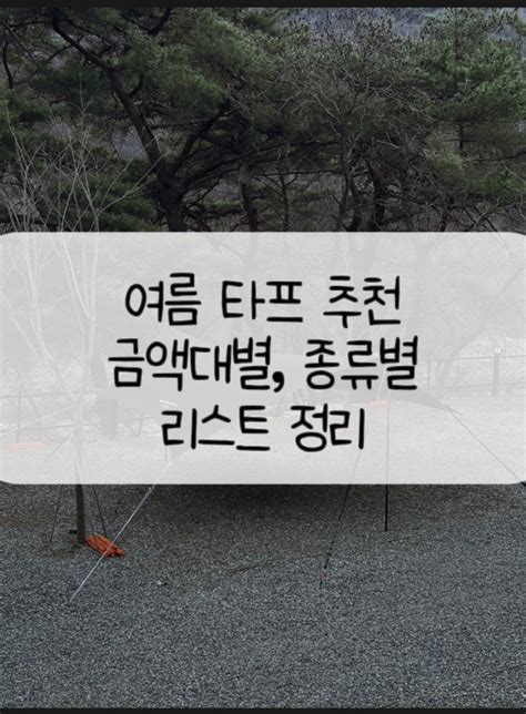가격대별 종류별로 여름 필수템 타프 초보캠핑 추천 리스트 네이버 블로그