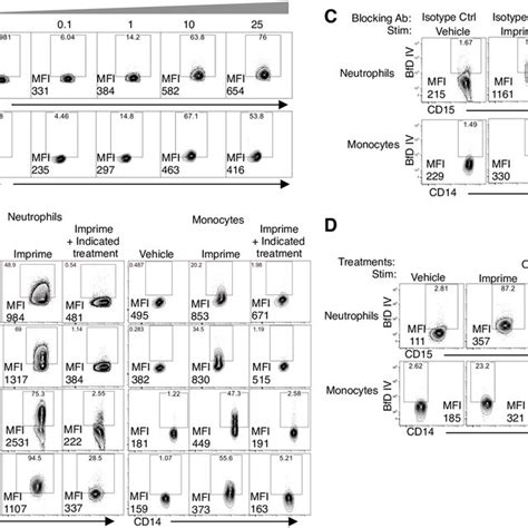 Schematic Representation Of The Complement System And Its Regulators