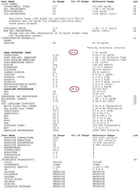 Can Someone Please Interpret My Lab Results Askdocs