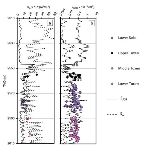 A Specific Surface Area With Respect To Bulk Volume As Modeled From Download Scientific