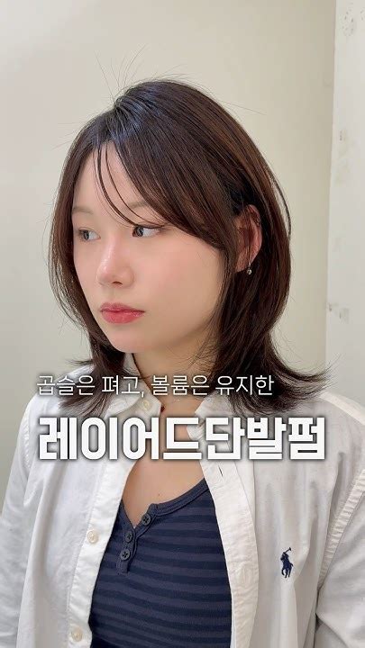 곱슬때문에 고민이신 분들 꼭 보세요 ️‍🔥 단발레이어드컷 Shorts 헤어컨설팅 Youtube