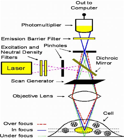 Figure 2 1 From Luminescence Lifetime Imaging Microscopy By Confocal Pinhole Shifting Llim Cps