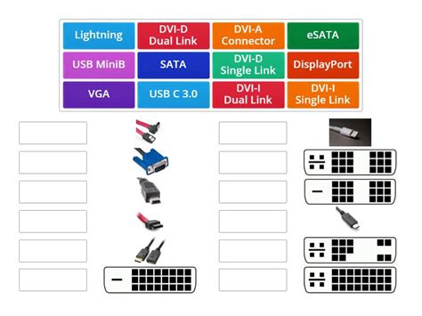 Kiwi S Copy Of Cables And Connectors Comptia A Match Up