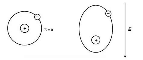12 Electronic Polarization Of An Atom Induced By The Presence Of An
