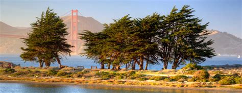 Crissy Field Golden Gate National Parks Conservancy