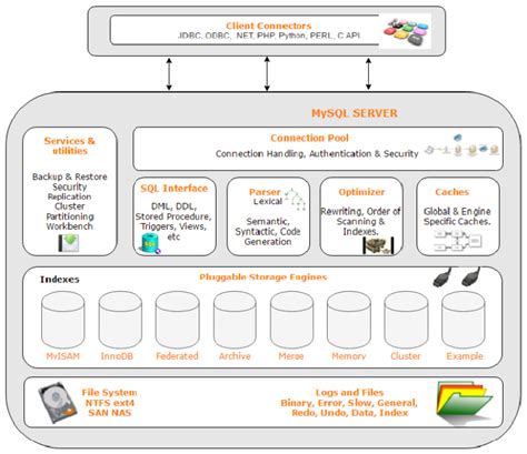 【mysql】数据库基础 详解mysql E参数 Csdn博客