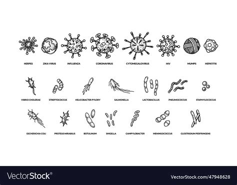 Set Of Hand Drawn Different Types Viruses Vector Image