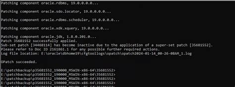 Steps For Patching In Standalone Database Oracle 19c In Windows