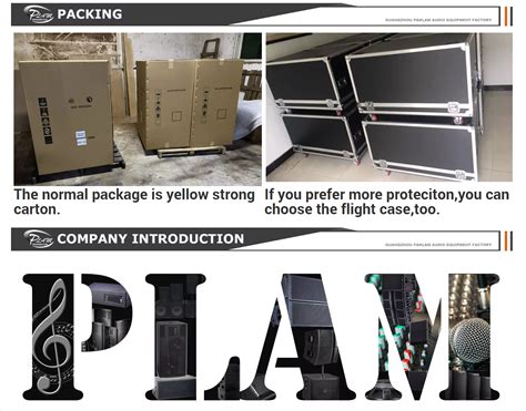 Professional Audio Line Array Subwoofer Speaker Active Line Array Dual Inch Sound Speaker Line