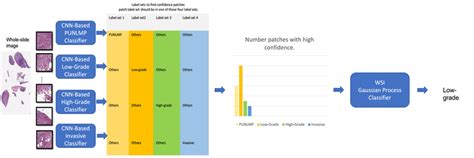 Patch Extraction From Whole Slide Images Each Patch Label Set Should