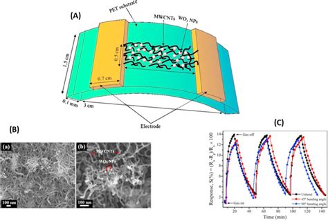 A The Flexible Sensor Schematic Diagram B Hybrid Sensor Fesem