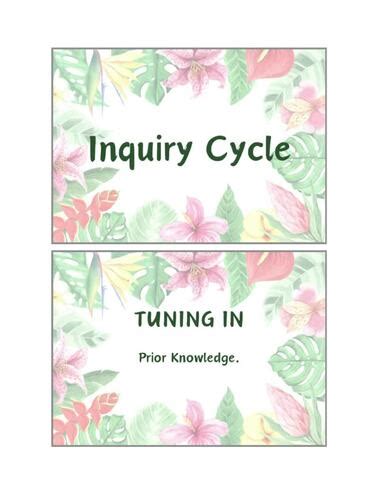 Ib Pyp Inquiry Cycle Poster Set Classroom Display Decoration Jungle Theme