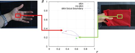 Examples Of Signal Classification Download Scientific Diagram