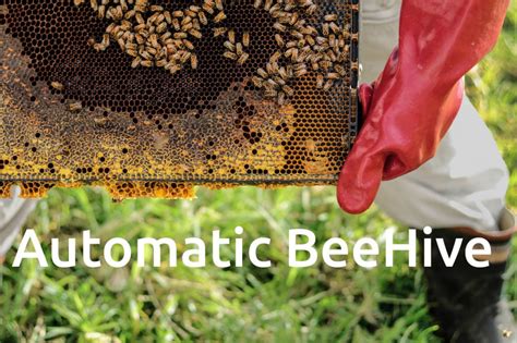 How To Make A Homemade DIY Beehive Step By Step Ikkaro