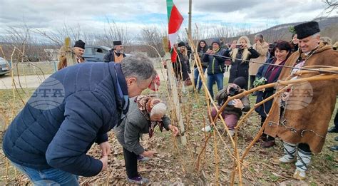 Представители на местната и държавната власт в Шумен се включиха в празничен ритуал по зарязване