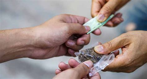 Desmantelada Rede De Tráfico De Droga Em São Miguel Diário Da Lagoa