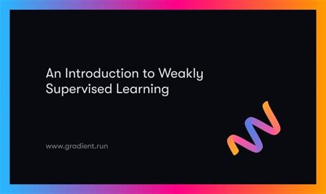 An Introduction To Weakly Supervised Learning Rpaperspace