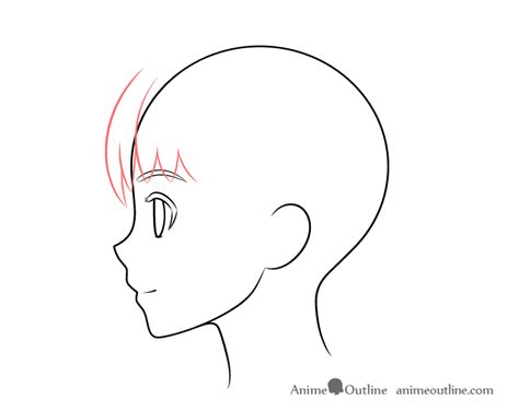 How One Can Draw Anime Face Facet View With Proportions Artshow24