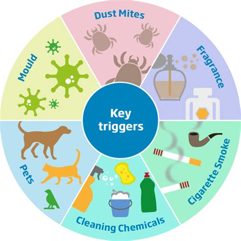 Asthma Triggers West Yorkshire Healthier Together