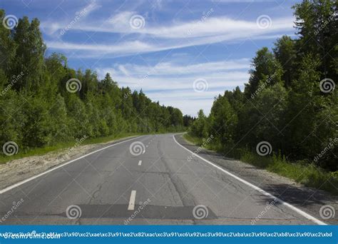 Narrow Highway Is Lost In The Woods Stock Image Image Of Narrow Signpost