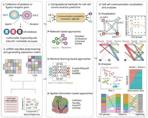 超详细 生物医学研究和临床应用中scRNA seq的数据分析指南 知乎