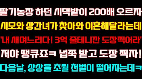 반전 신청사연 농장하던 시댁 땅이 오르자 시모가 찾아와 이혼하라는데 돈 받고 이별한 순간 시댁 집안이 아수라장되는데실화사연