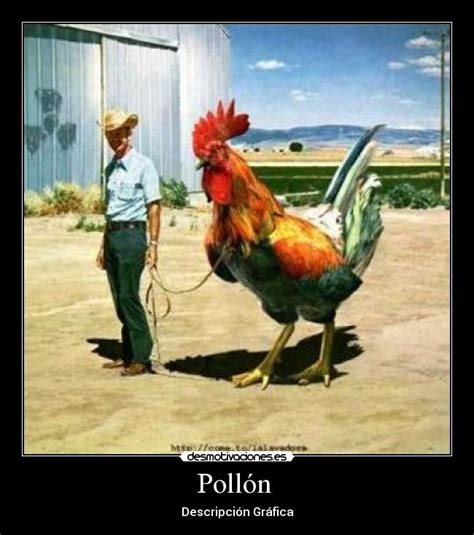 Im Genes Y Carteles De Pollon Pag Desmotivaciones