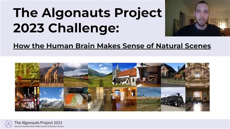The Algonauts Project 2023 Challenge And Development Kit Tutorial Walk Through Youtube