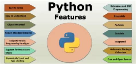 Computer Programming Advantages And Disadvantages Of Being A Computer Programmer Science Online