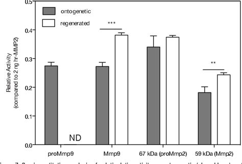Figure 7 From Zebrafish Scales In Bone Research Semantic Scholar