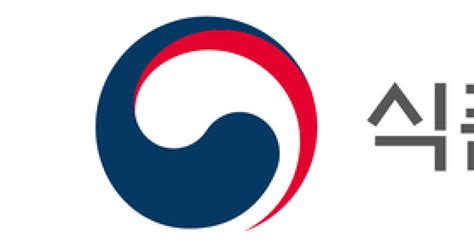 Ai 심사관이 신약 심사지능형 의약품 허가·심사 체계 구축 착수