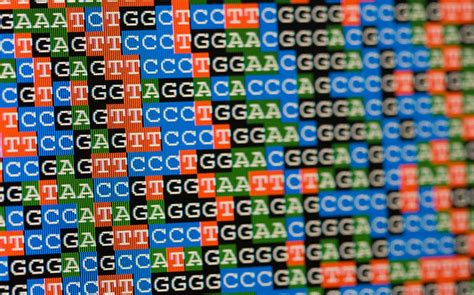 Plasma CtDNA Testing Reduces Time To Treatment In Advanced Lung Cancer Hospital Healthcare Europe