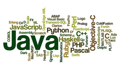 Which Programming Language Will You Want To Marry Or Hookup With