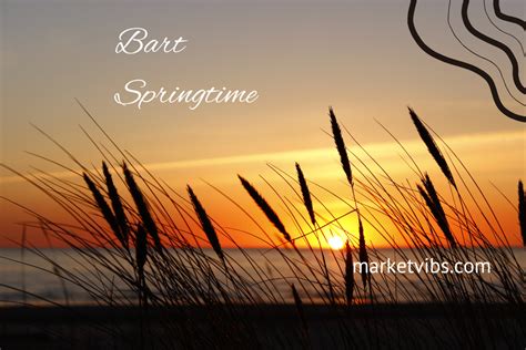 Bart Springtime Events Your Ultimate Guide To Seasonal Festivities