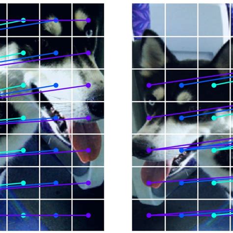 Visualization Of The Matchings Enforced During Training For L Sim L