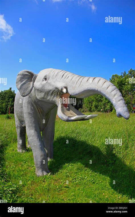 Platybelodon Size Platybelodon Size
