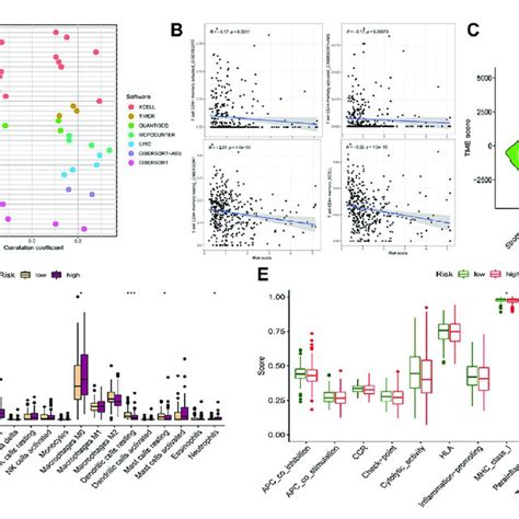 Analysis Of Immune Cell Infiltration A Heatmap Of The Infiltration