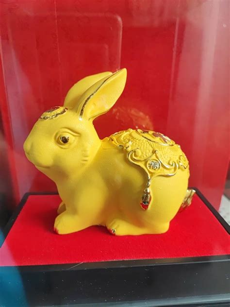 Rabbit Decon Tv And Home Appliances Other Home Appliances On Carousell