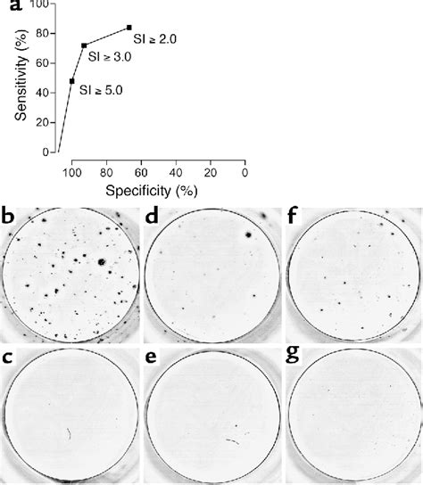 Enzyme Linked Immunospot Assay Semantic Scholar