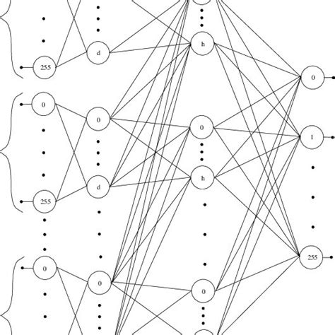 Architecture Of The Neural Network Demonstrating Weight Download Scientific Diagram