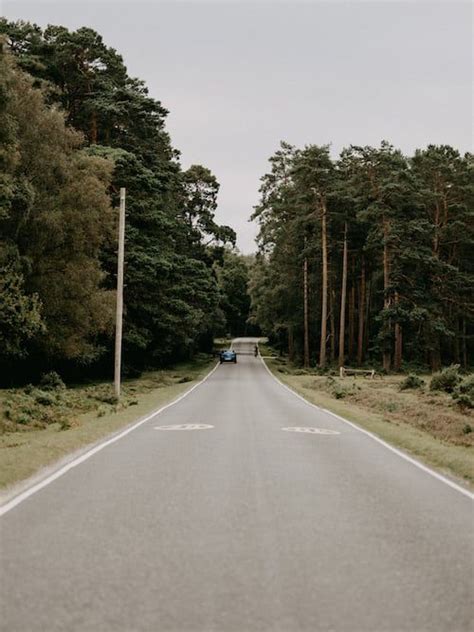 Yoloenvdetection Instance Segmentation Dataset By Yoloproject