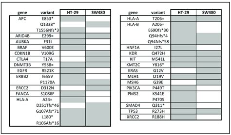 Fragment Length Distribution Of Cell Free Dna Isolated From The Media