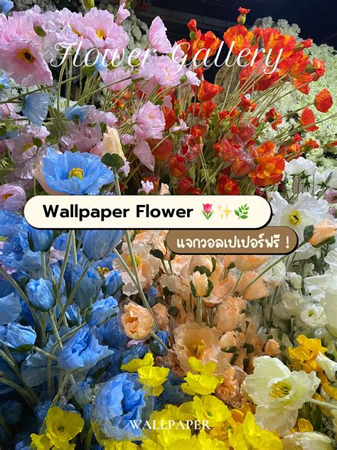 แจกวอลเปเปอร์ ~ เอาใจสาวดอกไม้ 🌷 🌿[flower Gallery] แกลเลอรีที่โพสต์โดย May Lemon8