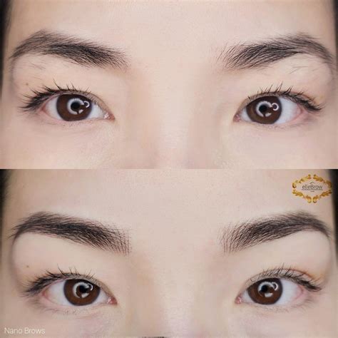 Nano Brows Before And After Photos Ellebrow NYC