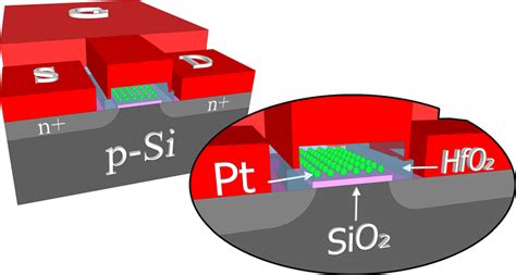 Schematic Image Of The Nvm Transistor Download Scientific Diagram