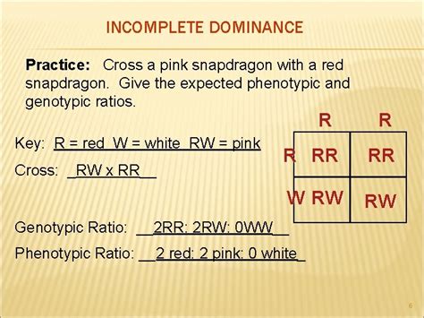 INCOMPLETE DOMINANCE AND CODOMINANCE INCOMPLETE DOMINANCE Neither