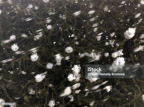 추상적 인 꽃 장미 와 얼음의 다른 패턴의 형태로 기포와 얼어 붙은 호수 물 녹조류와 어두운 바닥의 배경에 얼음 서리 형성에 그리기 디자인용 0명에 대한 스톡 사진 및 기타